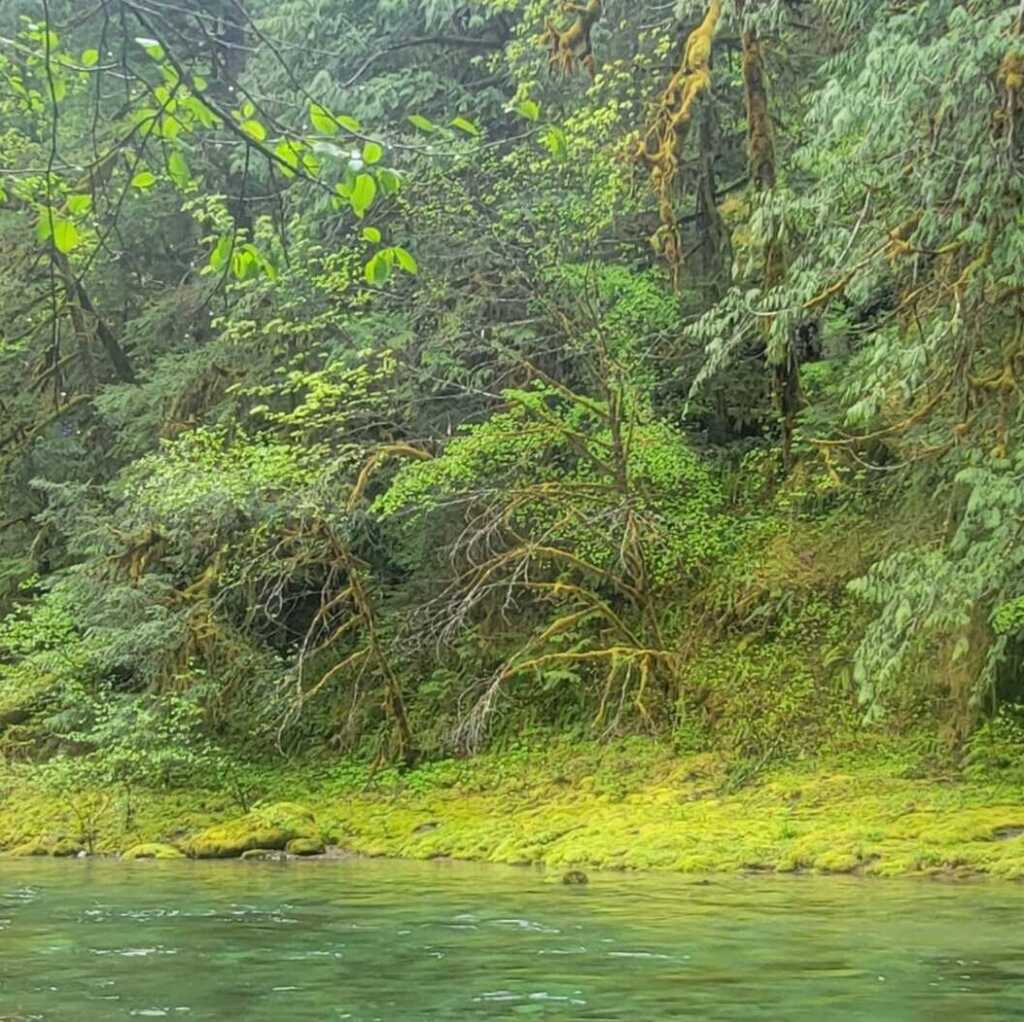 Audio / Video Archives - ABF Heaven